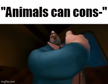 The Giant Slap - Imgflip