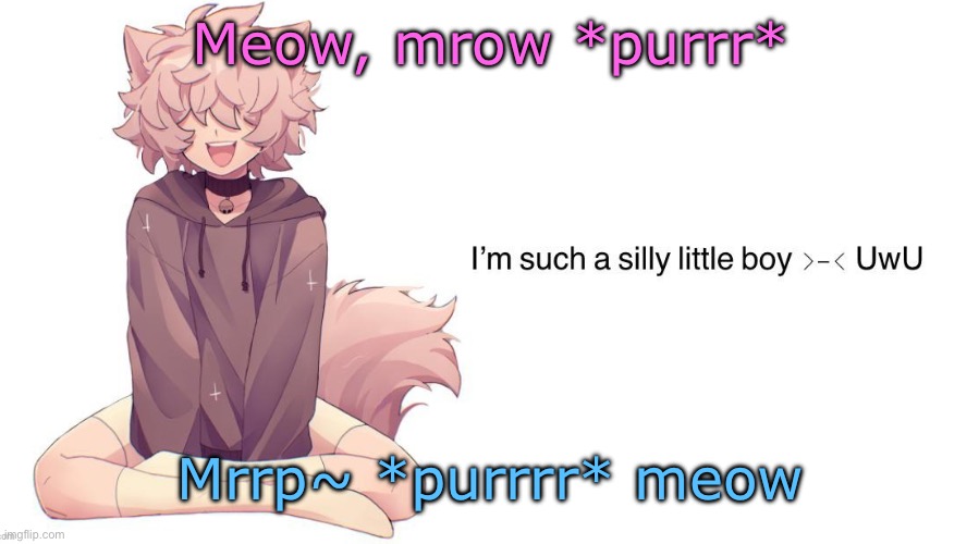 Silly_Neko announcement template - Imgflip