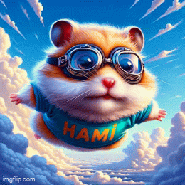 Hang Out with $HAMI - Imgflip