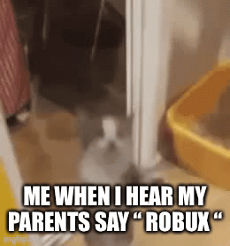 Bro wants robux - Imgflip