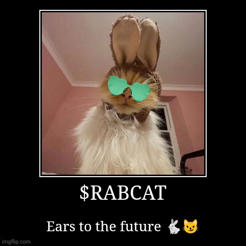 $RABCAT - Imgflip