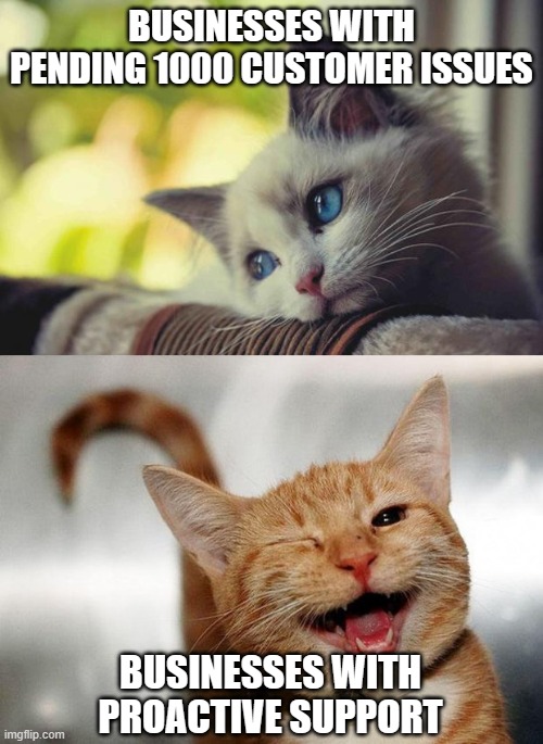 Sad Happy Cat - Imgflip