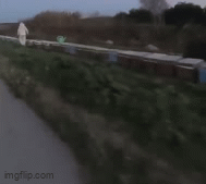 When You Catch a Bug Riding - Imgflip