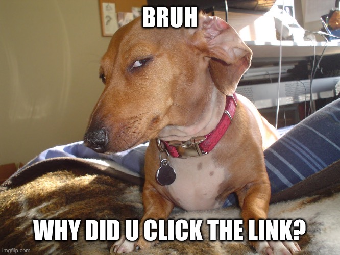 Suspicious Dog - Imgflip