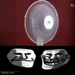 Animated GIF - Imgflip