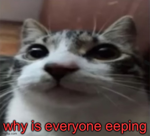 im bored asf - Imgflip