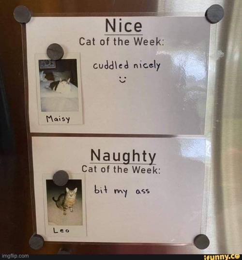 throwback meme - Imgflip