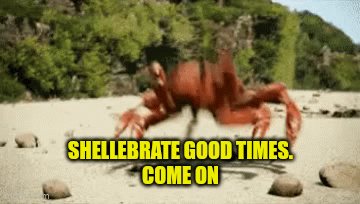 Shellebrate good times - Imgflip