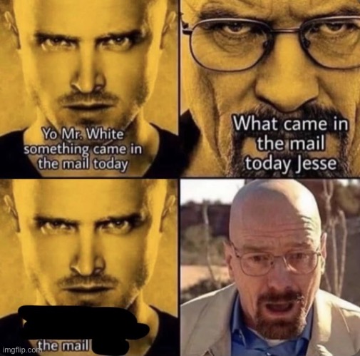 your package CAME? in the MALE? - Imgflip