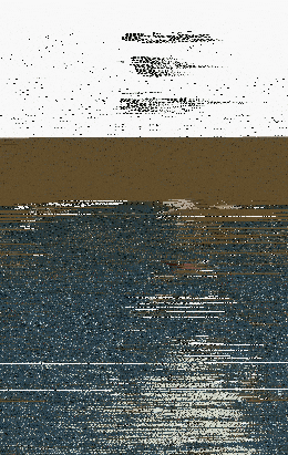 your follower is: damn average - Imgflip