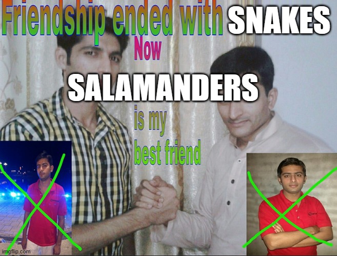 Friendship ended with (no Salman no Mudasir) - Imgflip