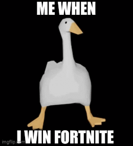 ducks memes - Imgflip