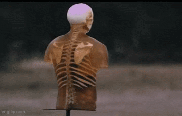 When The Bullet Hits The Bone - Imgflip