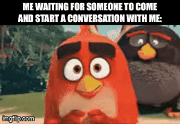 Angry birds - Imgflip