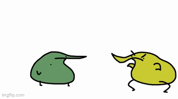 Animated GIF - Imgflip