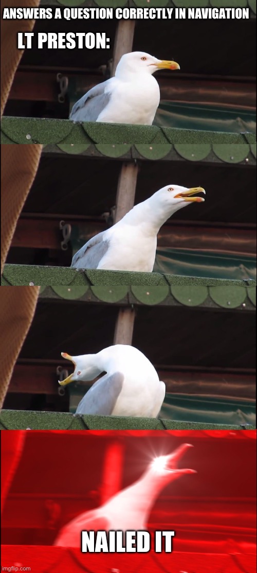 Inhaling Seagull Meme - Imgflip