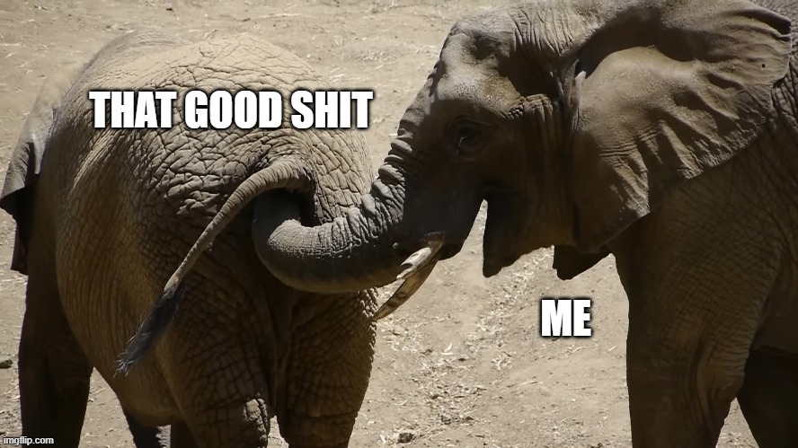 Good Elephant Shit - Imgflip