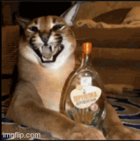 flopp or be flopped - Imgflip