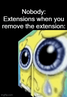 "*pop-up appears* Why did you uninstall the extension?" like bruh fr ...