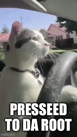 Presseed to da root - Imgflip