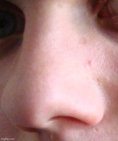 Cute Boy nose : r/Button_noses