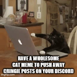 Anti-cringe meme - Imgflip