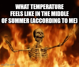 Summer temperatures are insane - Imgflip