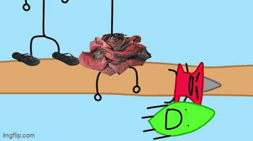 Animated GIF - Imgflip