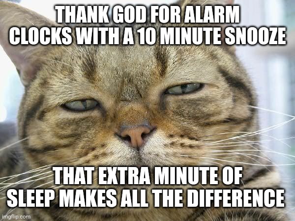 Sleepy Cat - Imgflip