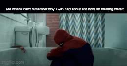 Goodbye previous sadness, hello new sadness - Imgflip