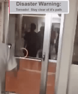 Natural disaster survival irl - Imgflip