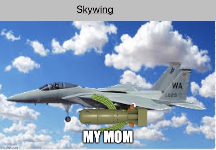 Skywings in a nutshell - Imgflip