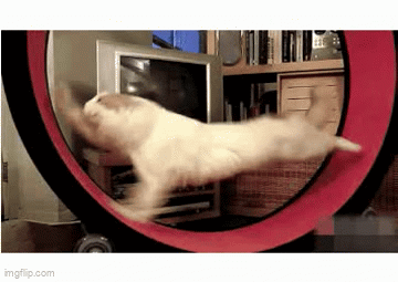 Keep On Running ! - Imgflip