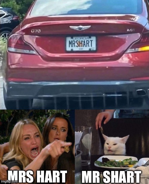 Image tagged in woman yelling at cat - Imgflip