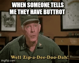 Finding out about Buttrot - Imgflip