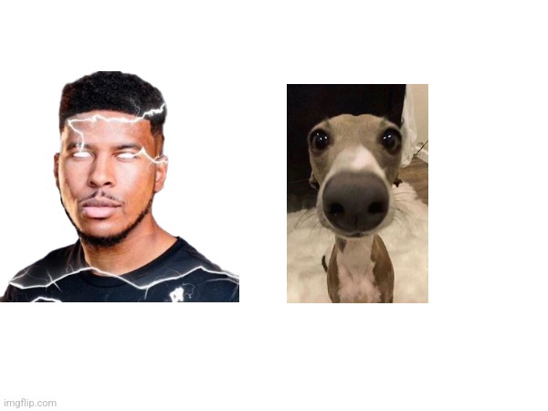 i'm gonna pound you - Imgflip