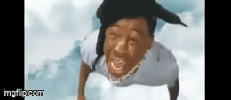 tyler, the creator falling from the sky - Imgflip