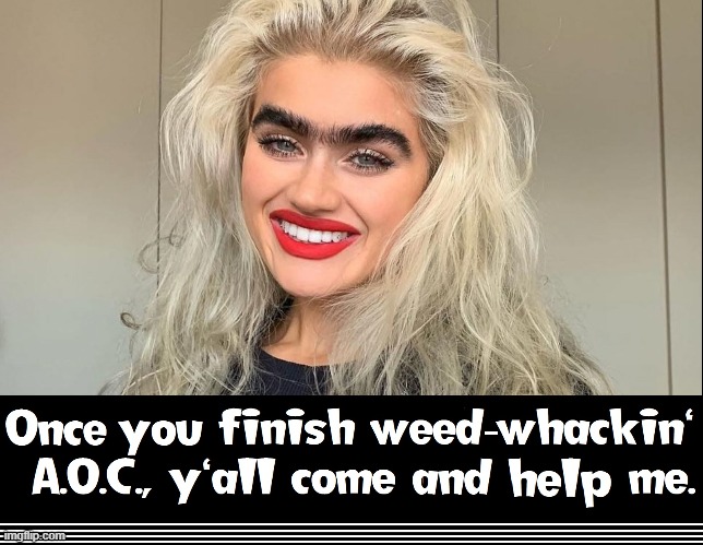 On the Campaign Trail with A.O.C. - Imgflip