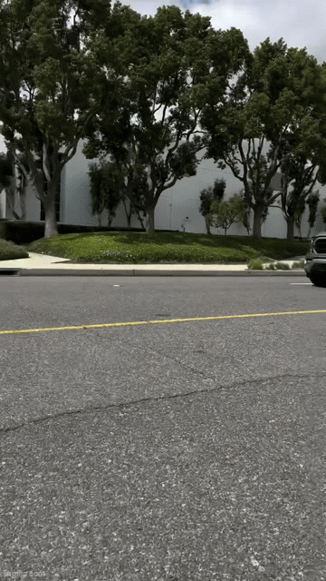 Animated GIF - Imgflip