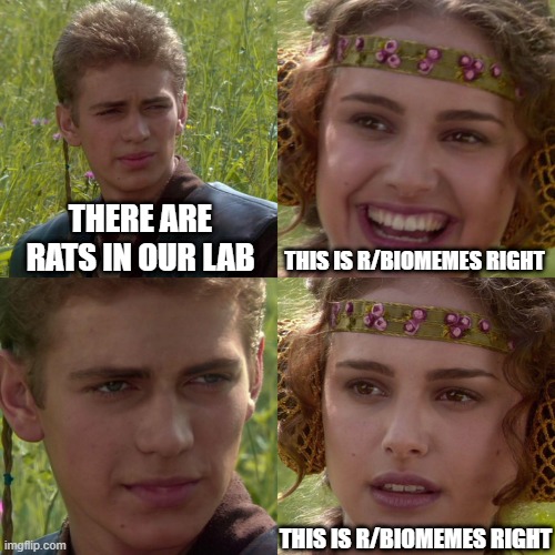 Anakin Padme 4 Panel - Imgflip