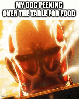 We forgot to feed him... - Imgflip