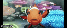 Clownfish - Imgflip