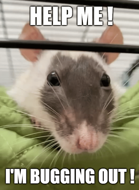 Totally Trippin' - Imgflip