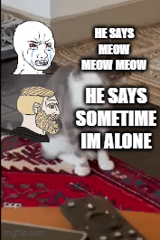 The Lonely Cat Imgflip