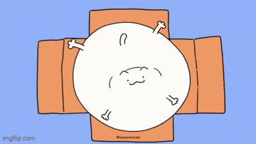 Packing a cat be like: - Imgflip