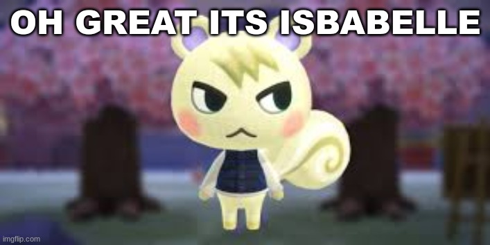 Isabelle Shirt - Imgflip