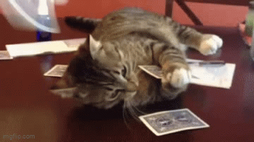 Card game - Imgflip