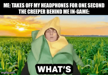 either you didn't pause or you're playing multiplayer - Imgflip