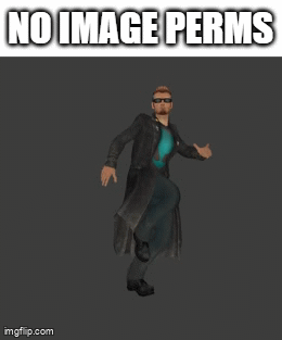 No Image Perms - Imgflip
