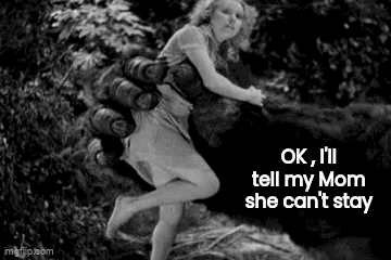 Newlyweds , sheesh - Imgflip